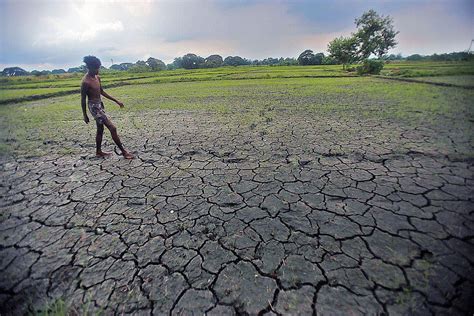 Expert Warns Public Vs El Niño Related Diseases Gma News Online