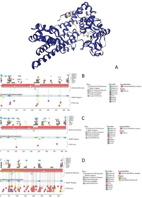Structure Intrinsic Disorder And Functionality Of Human Download