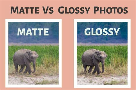 Matte Vs Glossy Photos Which Finish Is Better For Printing