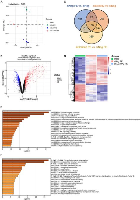 Slc39a2 Deficiency Potentiates The Transcriptome Reprogramming Induced Download Scientific