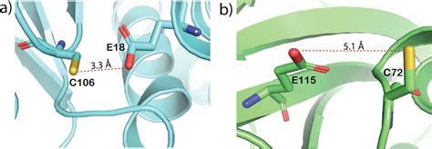 Covalent Modifiers Benchmarking In Silico Tools For Cysteine Pka