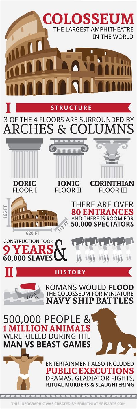 Colosseum Infographic Ancient Rome Architecture Colosseum Infographic
