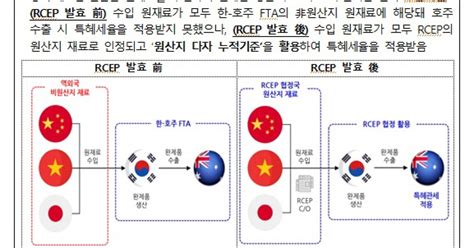 관세청 Rcep 활용 비즈니스 모델 구축 특강
