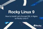 How To Install Nano On Rocky Linux 9 Devtutorial