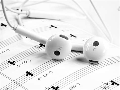 Article And Declination Of The Noun Musik In German