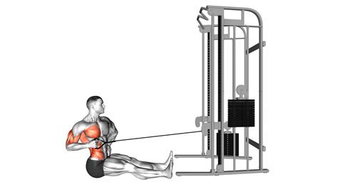 Cable One Arm Twisting Seated Row Exercise Guide Tips