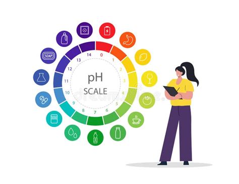 Ph Acid Scale Measurement Vector Stock Illustrations 659 Ph Acid