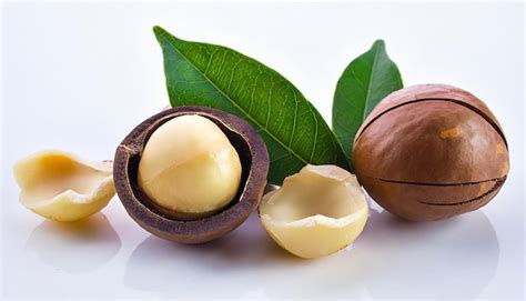 Premium Ai Image Macadamia Kernel With Leaves On White Background