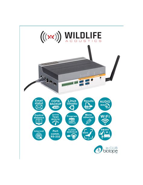 Smart Bat Detection System For Real Time Monitoring And Analysis With Remote Access And Data