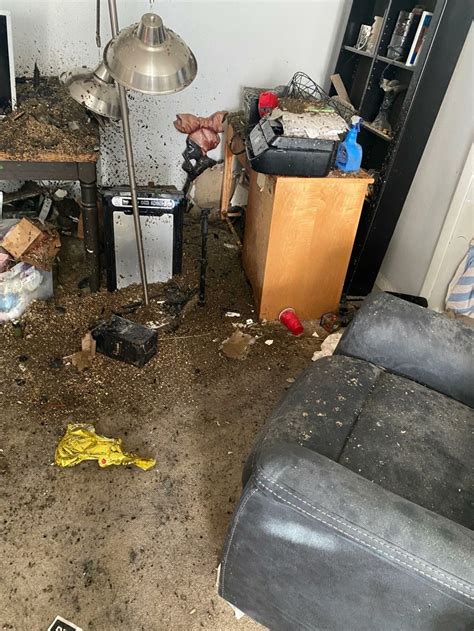 杨瑾6060 Yangjin6060 Twitter