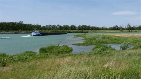 Limas Compensations Environnementales Exploitation Carrière Dans 30
