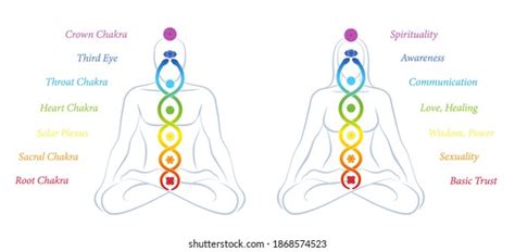 Kundalini Meditaion Love Couple Kundalini Serpent Stock Vector Royalty