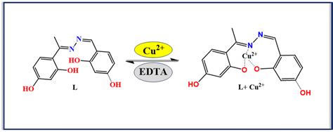 An Innovative Schiff Base Colorimetric Chemosensor For The Selective Detection Of Cu 2 Ions And