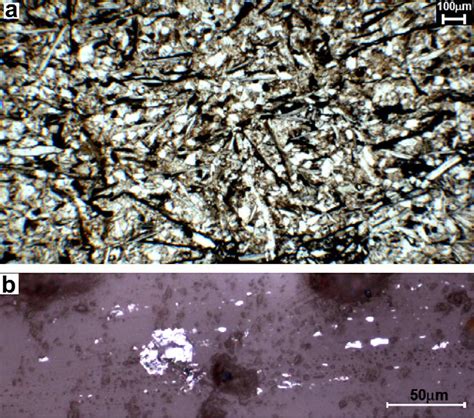 Hapazardly Oriented Platy Minerals In Fine Grained Veneer On Coastal