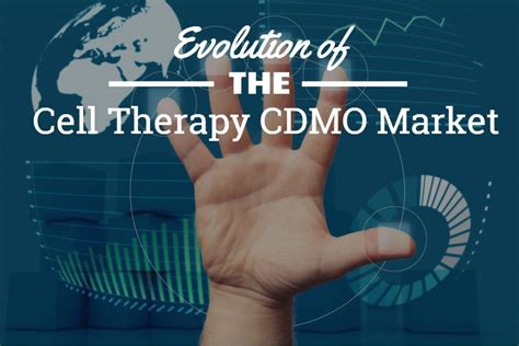 Evolution Of The Cell Therapy Cdmo Market Bioinformant