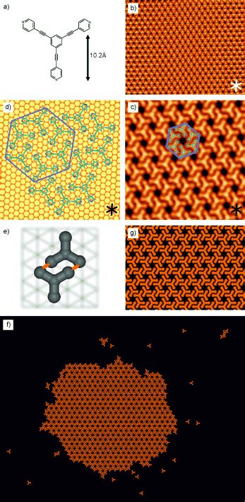 phase α hexagonal molecular porous network obtained by the deposition