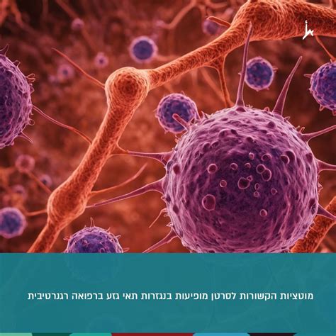 ארגון בוגרי האוניברסיטה העברית On Linkedin מחקר חדש של האוניברסיטה