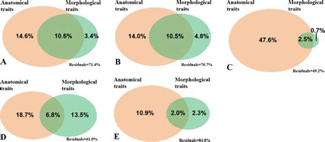 The Variation Partition Analysis Of Fine Root Traits And Root Nscs