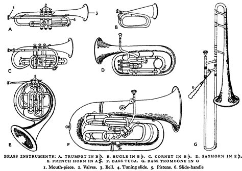 Types Of Brass Instruments