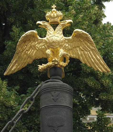 Eagle Images, Symbols and Meanings | Gnostic Warrior