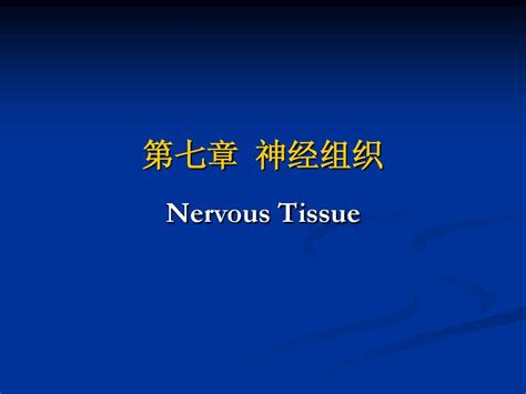 07 神经组织word文档免费下载亿佰文档网