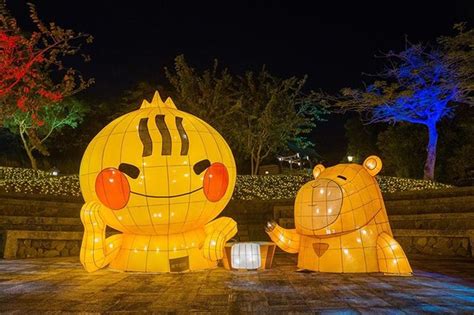 屏東「四重溪溫泉季」114開跑！搶拍絕美金黃燈海，開幕還有超萌水豚來泡湯食尚玩家