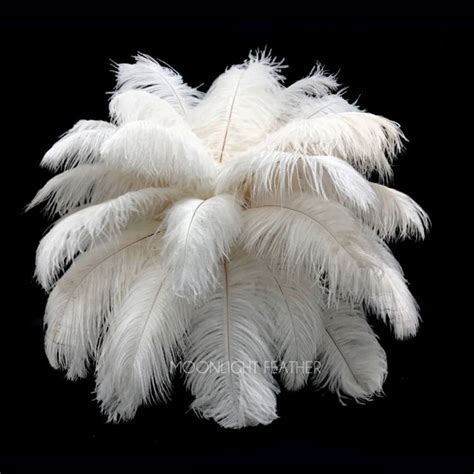 Bulk Ostrich Feathers Plumes Fringes Drabs And More Moonlight Feather