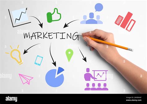 Woman Drawing Marketing Scheme With Illustrations On White Background