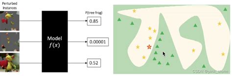 可解释机器学习 Task06：lime算法学习 Csdn博客