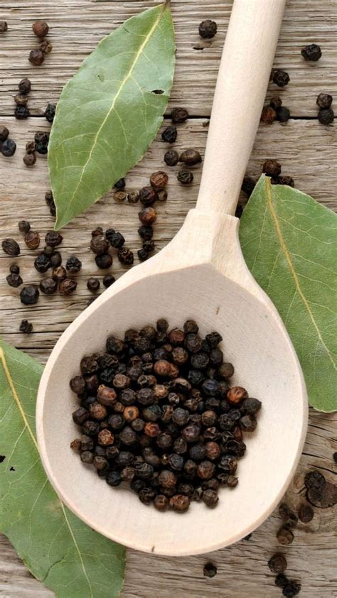 काली मिर्च के 5 दाने बदल देंगे आपकी किस्मत जानें कैसे Black Pepper