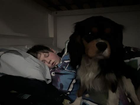 Resilience Nhs Wellbeing Vulnerability Performance Adversity