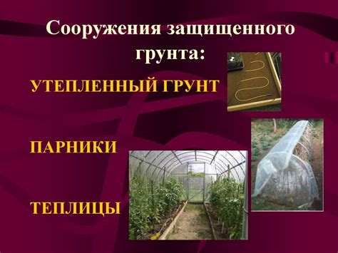 Технология выращивания растений Урок 3 презентация онлайн