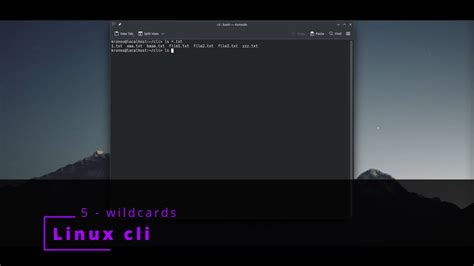 Linux Cli 5 🐧 Wildcards Youtube