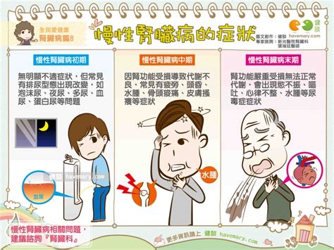 慢性腎臟病的症狀｜全民愛健康 腎臟病篇8 Enews新聞網