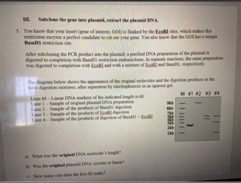 Solved Til Subclone The Gene Into Plasmid Extract The