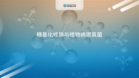 药物靶点发现研究 基于化学蛋白质组新方法（lip Ms）