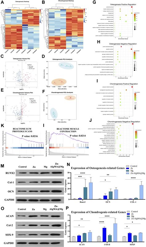 Honeycomb Like Biomimetic Scaffold By Functionalized Antibacterial Hydrogel And Biodegradable