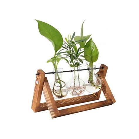 Desktop Glass Planter Bulb Plant Terrarium With Wooden Stand Air