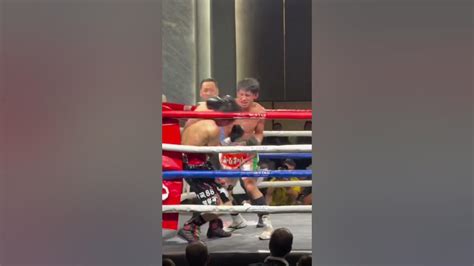 202528wbo 오리엔탈 밴텀급매치 강종선🇰🇷vs🇯🇵류토 오완 9rtko패 다운을 주고 받으면 강종선 선전했는데 아쉬운패ㅜ 복싱 권투 챔피언 한국복싱 프로