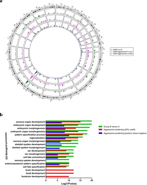 Dmrs And Their Genomic Context A Circos Plot Of Dmrs For The 3