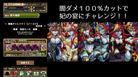 妃の宴 闇ファガンpt【ノーダメ】【パズドラ】 Youtube