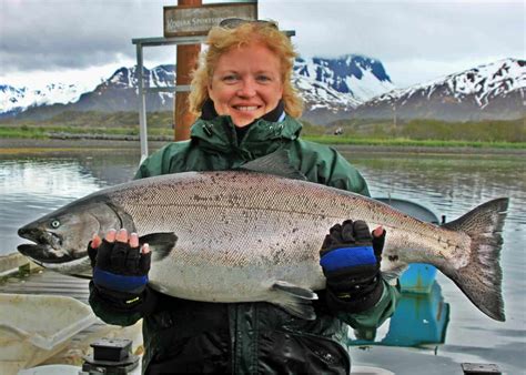 When Is The Fishing Season For Chinook Salmon In Alaska