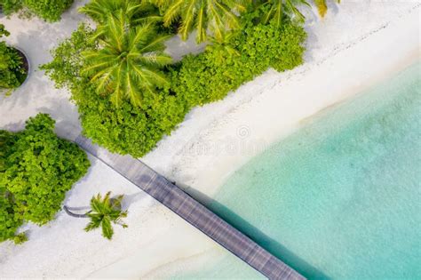 Maldives Paradise Island Tropical Aerial Landscape Seascape Water