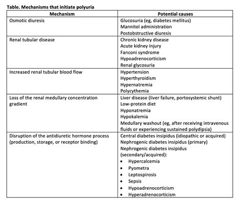 Polyuria And Polydipsia Streamlining Your Veterinary Diagnostics