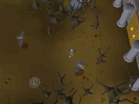 File Emote Clue Raspberry Keep Le Faye Png Osrs Wiki