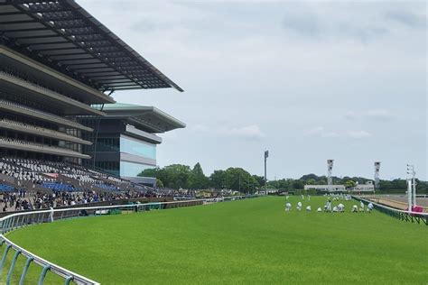 Jra Van公式 On Twitter 本日の東京競馬場は曇☁️ ・馬場状態 芝： 良 ・芝クッション値7時00分測定 ： 92