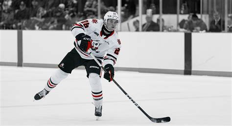 Icedogs Fall To Petes In Preseason Finale Niagara Icedogs