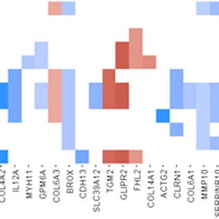 Heatmap Of The Significant GO Terms Y Axis And Some Of The Top Genes