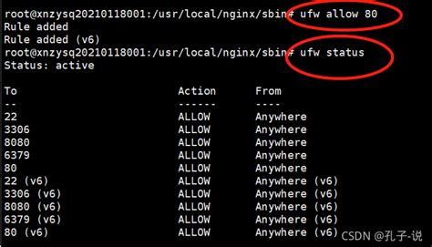 Linux下java Web服务器的搭建三（nginx）nginx部署javaweb项目 Csdn博客