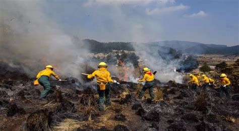 Más De 2 Mil Brigadistas Combaten Incendios Forestales Conafor